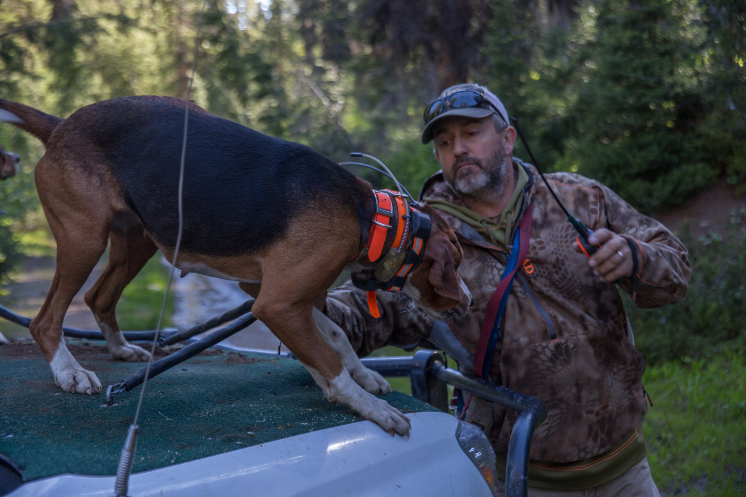 scott denny - Table Mountain Outfitters